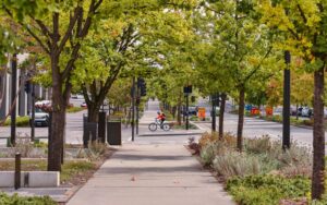 The Vital Role of Trees in Urban Environments - greenlyhood